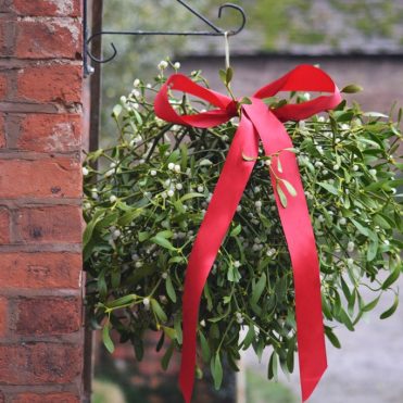 The Yule Goat: A Quintessential Nordic Christmas Symbol