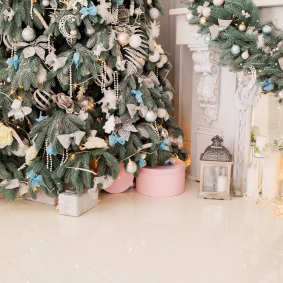 Beginner's Guide To Mistletoe: History and Traditions of Mistletoe