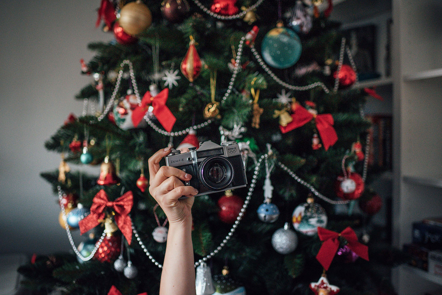Christmas Day Photo Checklist: 50 Photo Ideas | Ideas for photos to ...