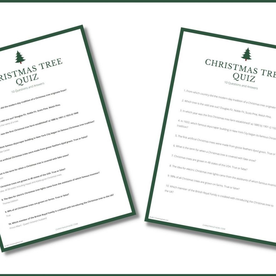 How To Decorate a Christmas Tree with Ribbon Ideas (2023)