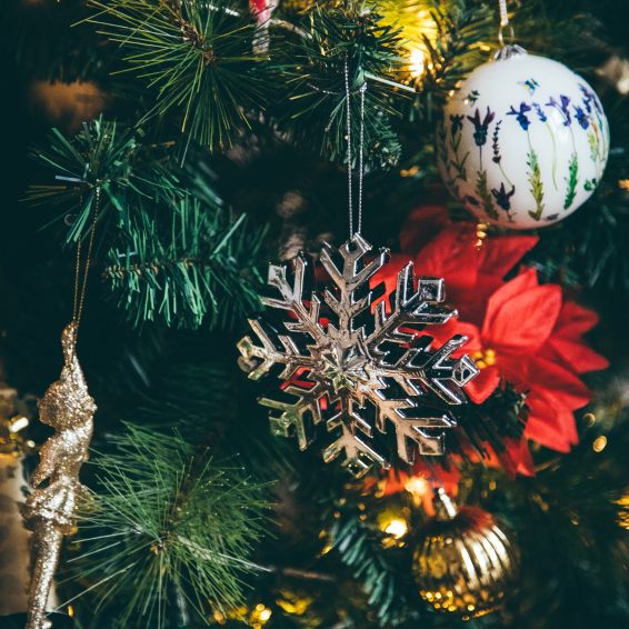 Christmas Tree Farms in the UK | Fresh Xmas Tree Farms